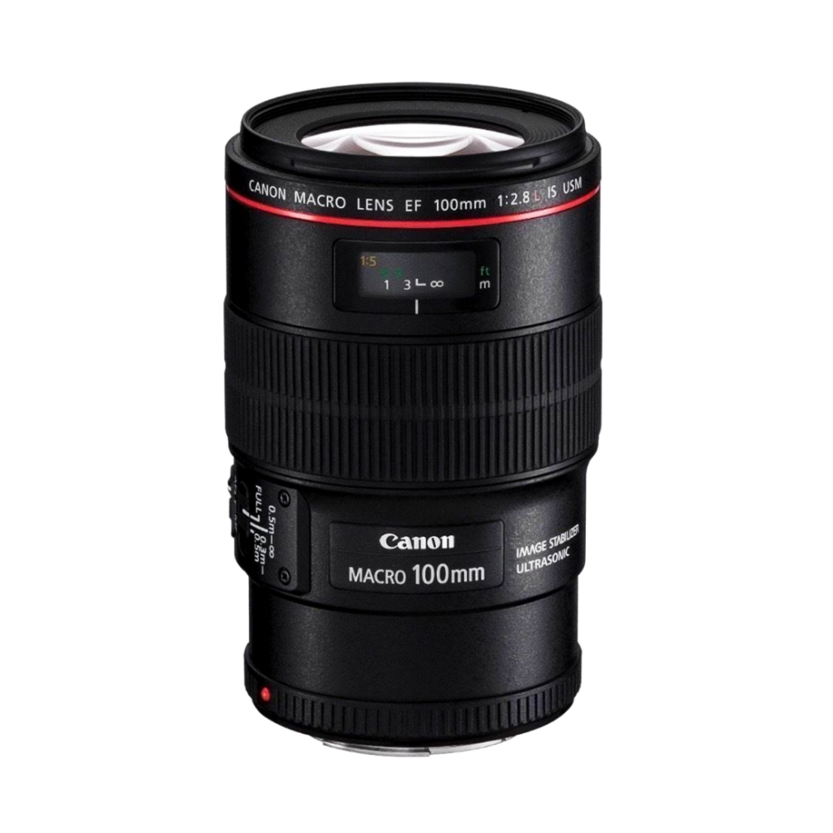 Canon EF 100mm F 2 8 Macro Lens Shoot Blue